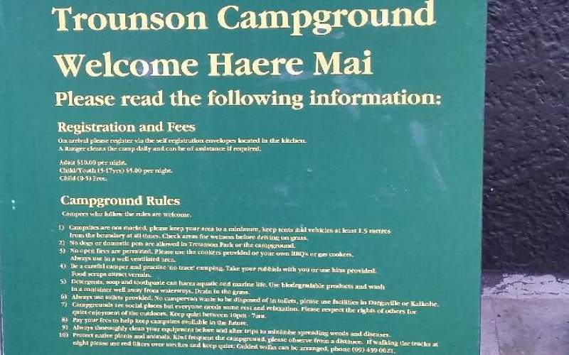 Trounson Kauri Park Campground | Full Service Camp | New Zealand